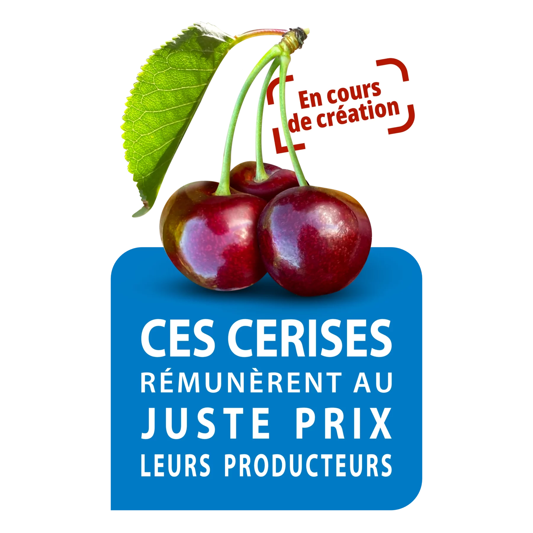 Cerises - « C'est qui le Patron